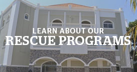 Operation Baby Rescue