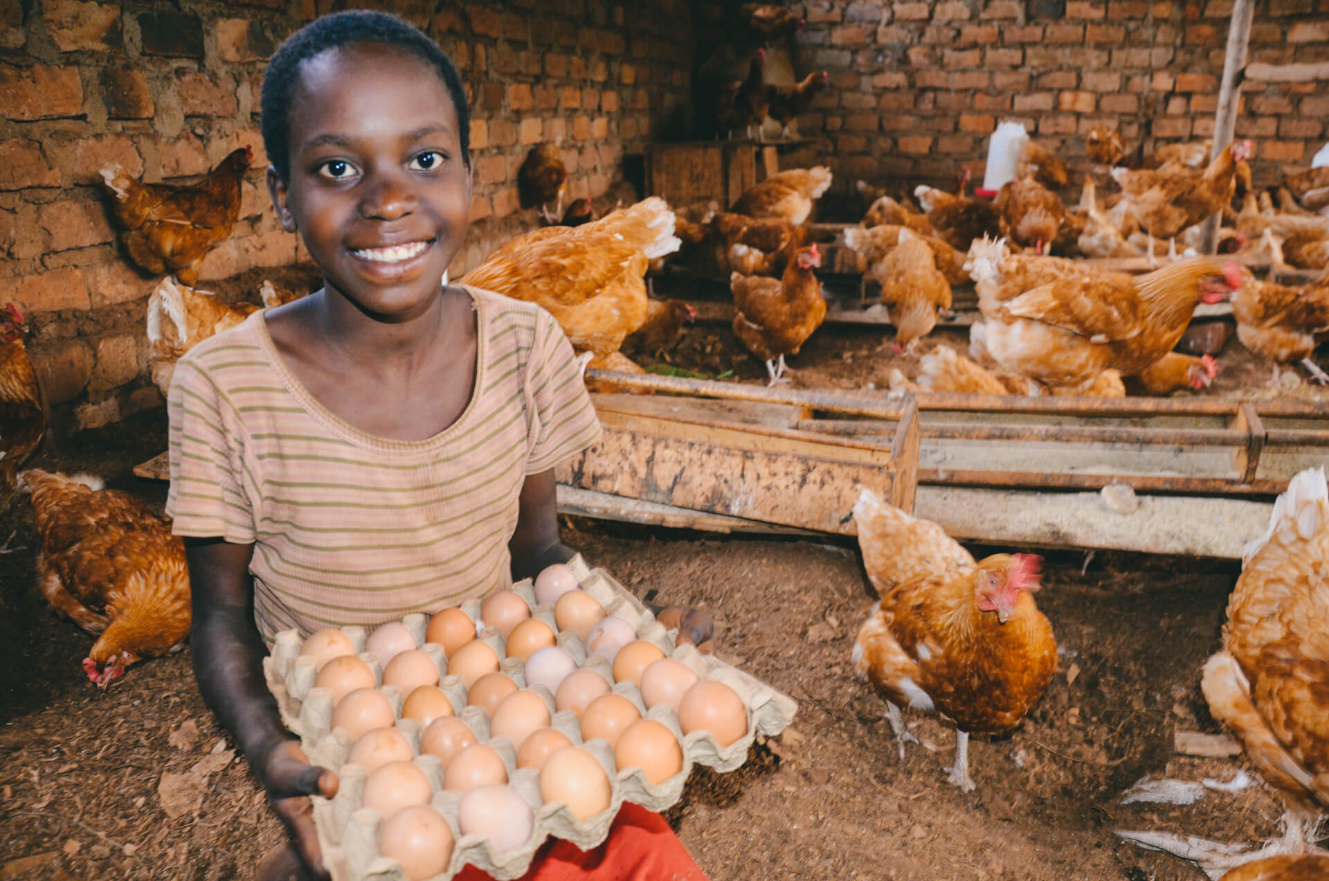 Donate farm animals & livestock for people in need | World Help