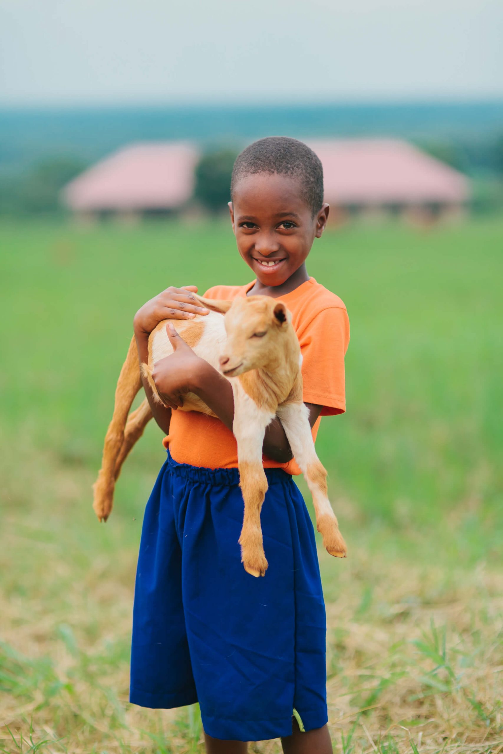 Donate a goat to people in need | World Help