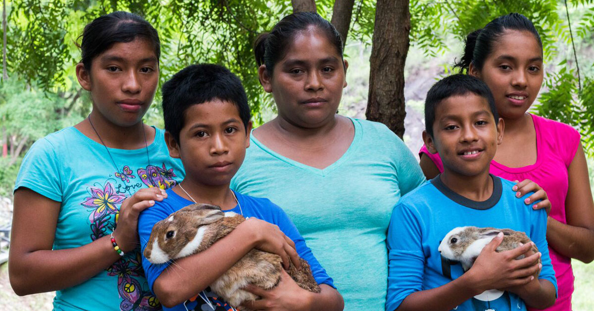 Rabbits multiply blessings